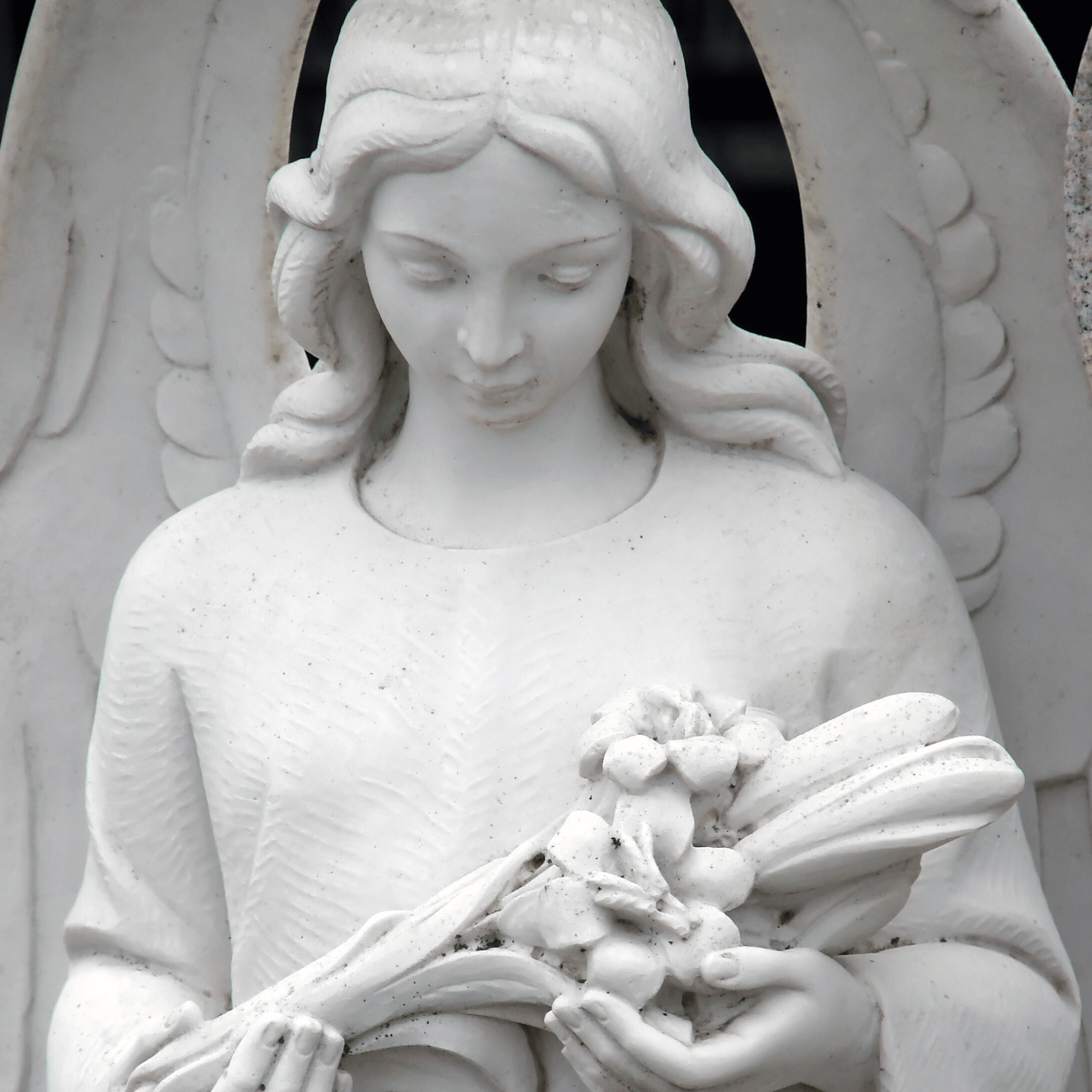 Ask the Angels - Angelic Souls on Earth - Katrina Koltes